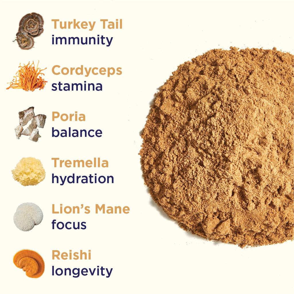 mushrooms for enhanced mental clarity