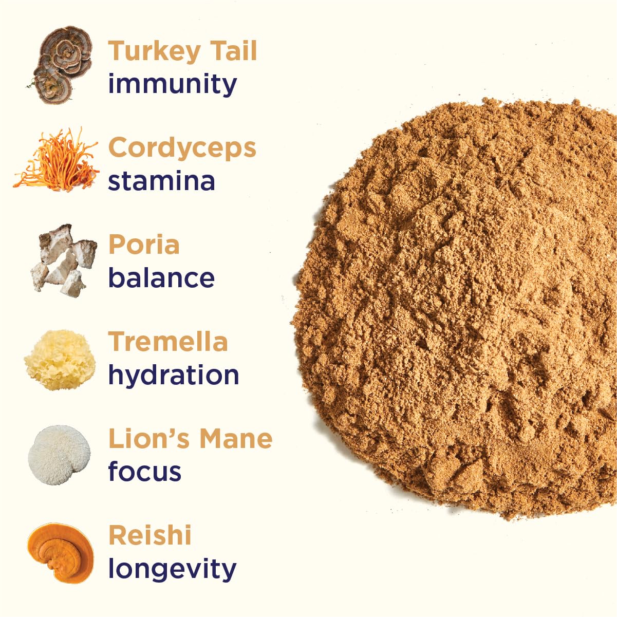 mushrooms for enhanced mental clarity