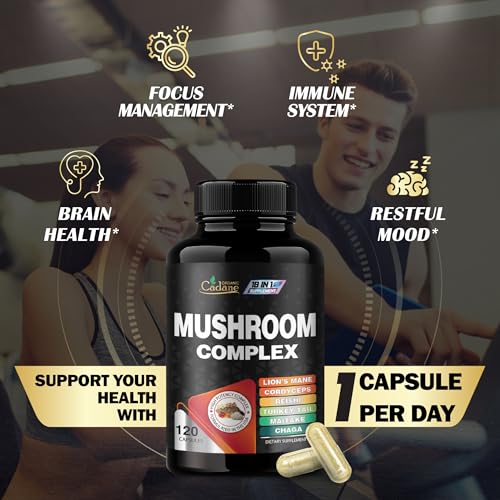 mushrooms for enhanced mental clarity