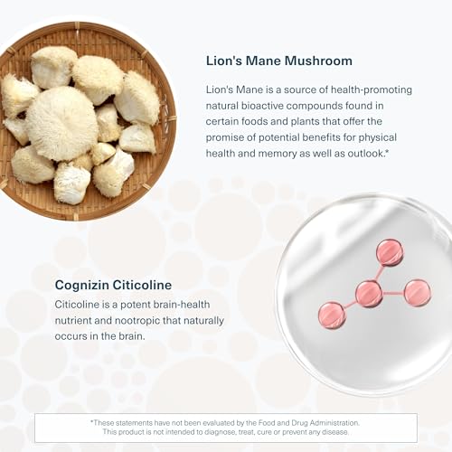 mushrooms for enhanced mental performance