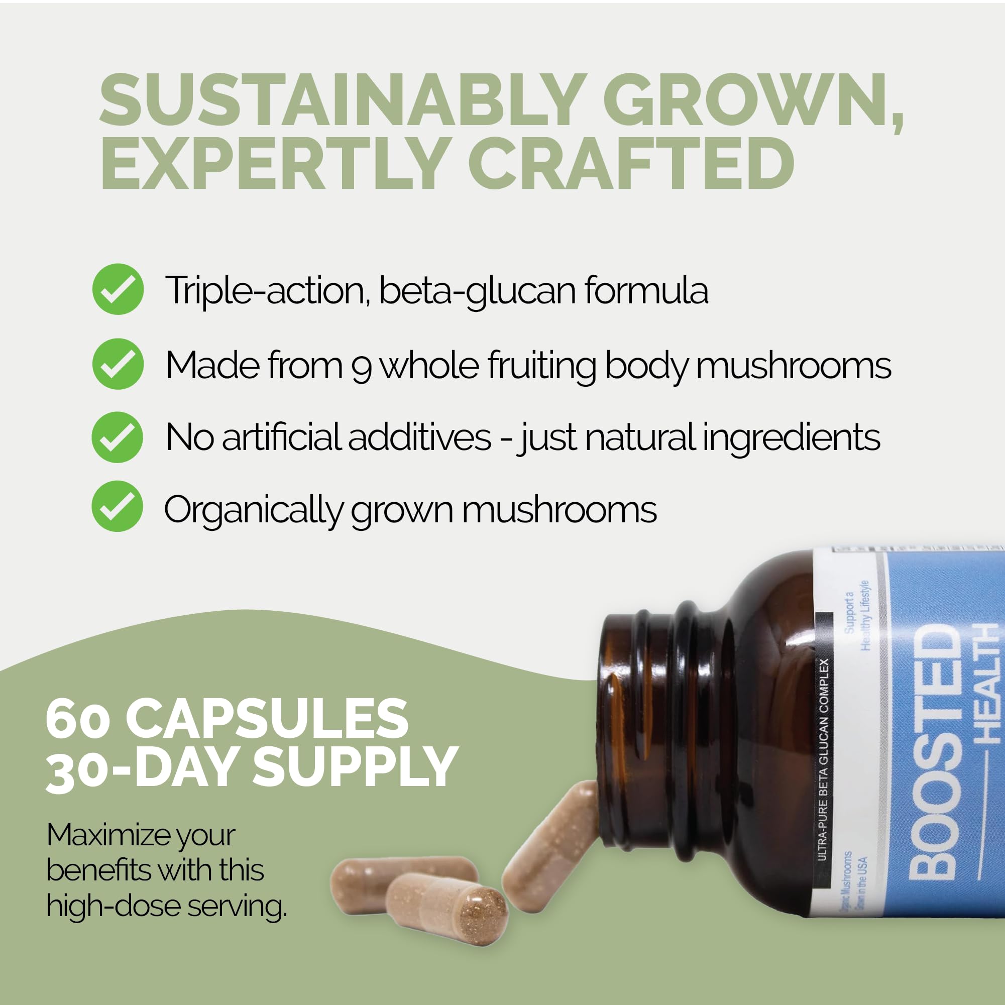 mushrooms for enhanced mental performance
