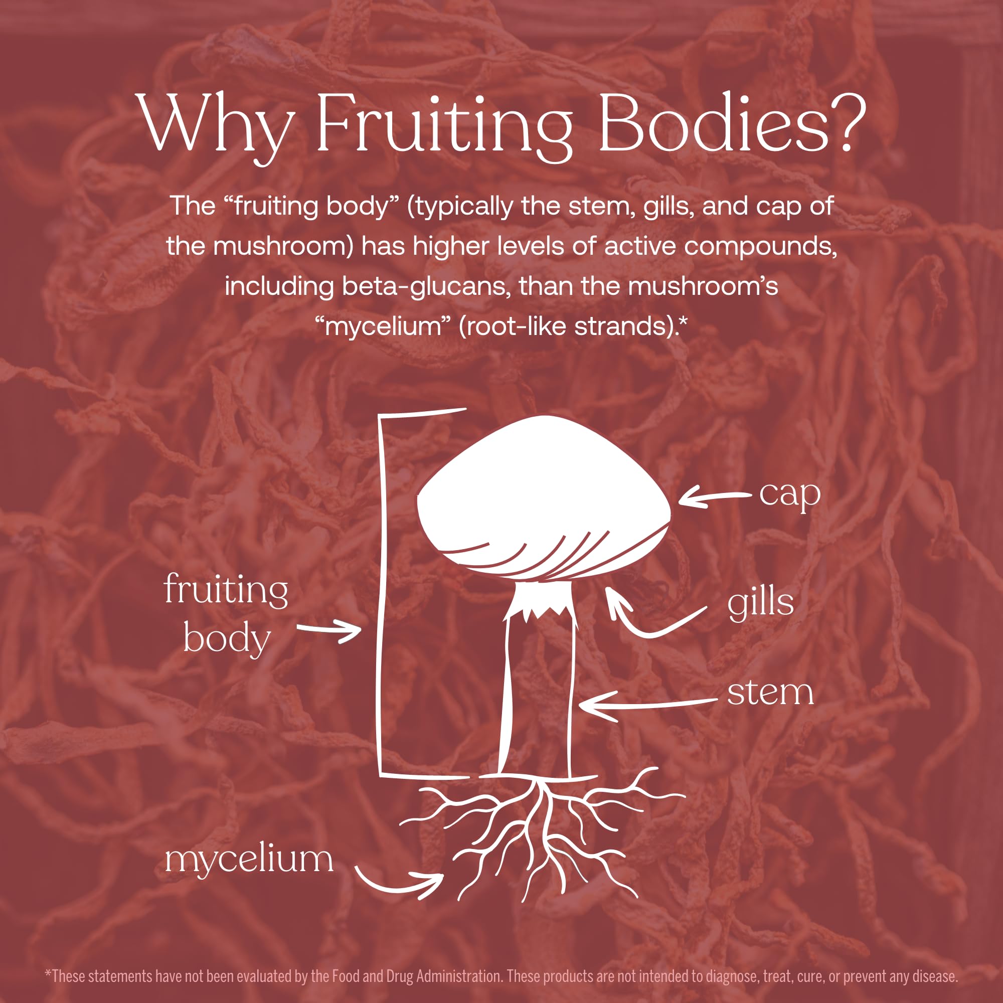 Mushrooms for enhanced physical performance