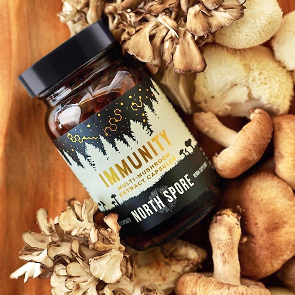 mushrooms for enhanced vitality and energy