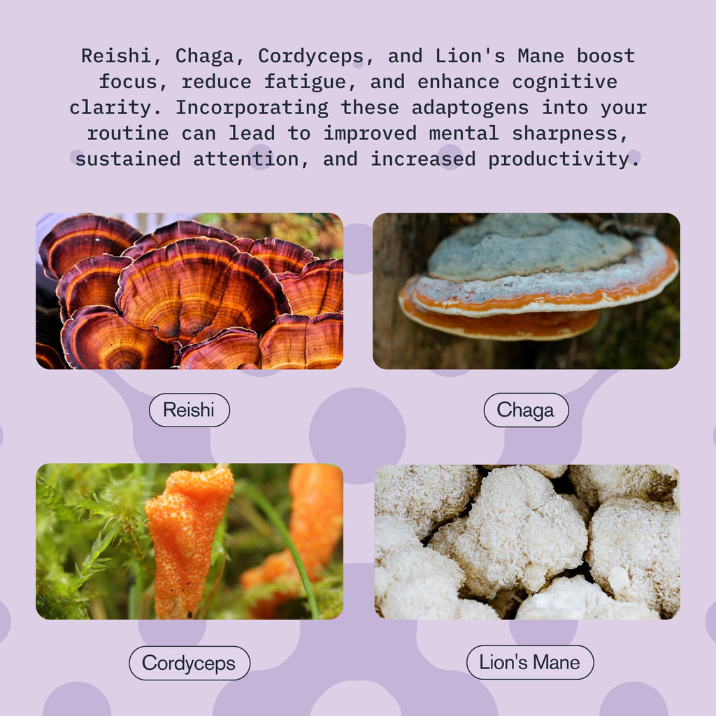 mushrooms for enhanced vitality