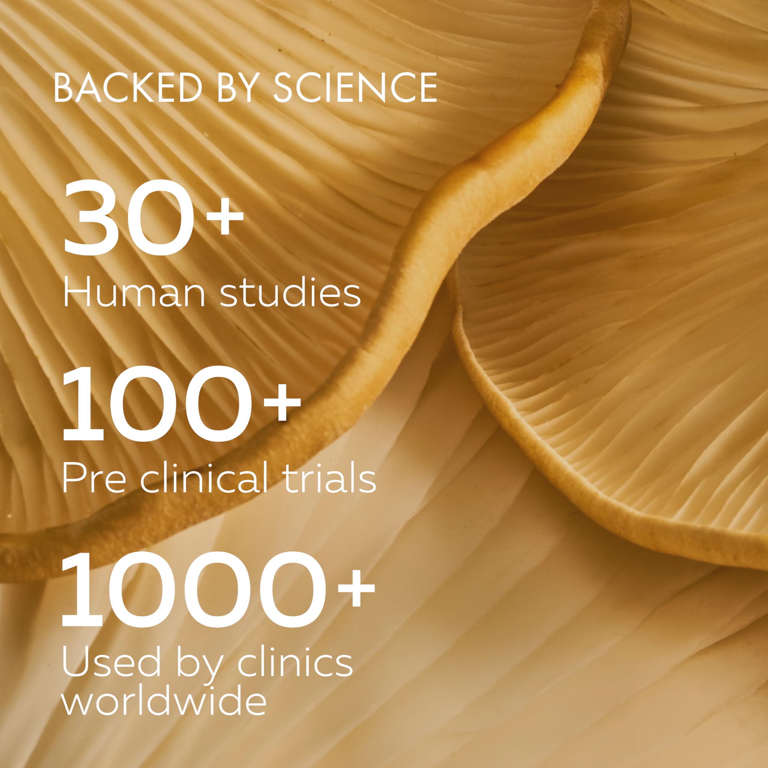 mushrooms for enhanced vitality