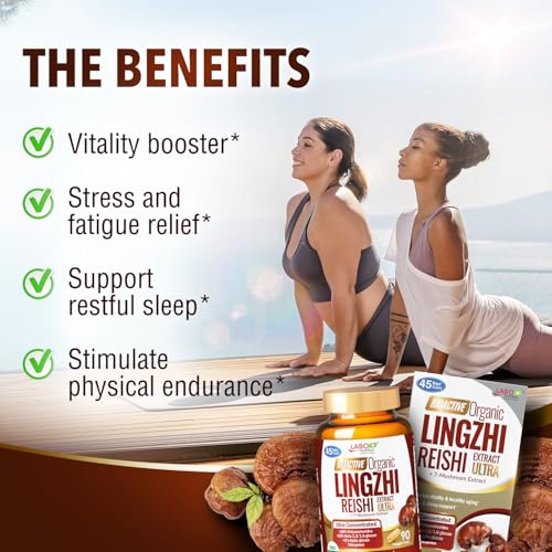 mushrooms for everyday wellness