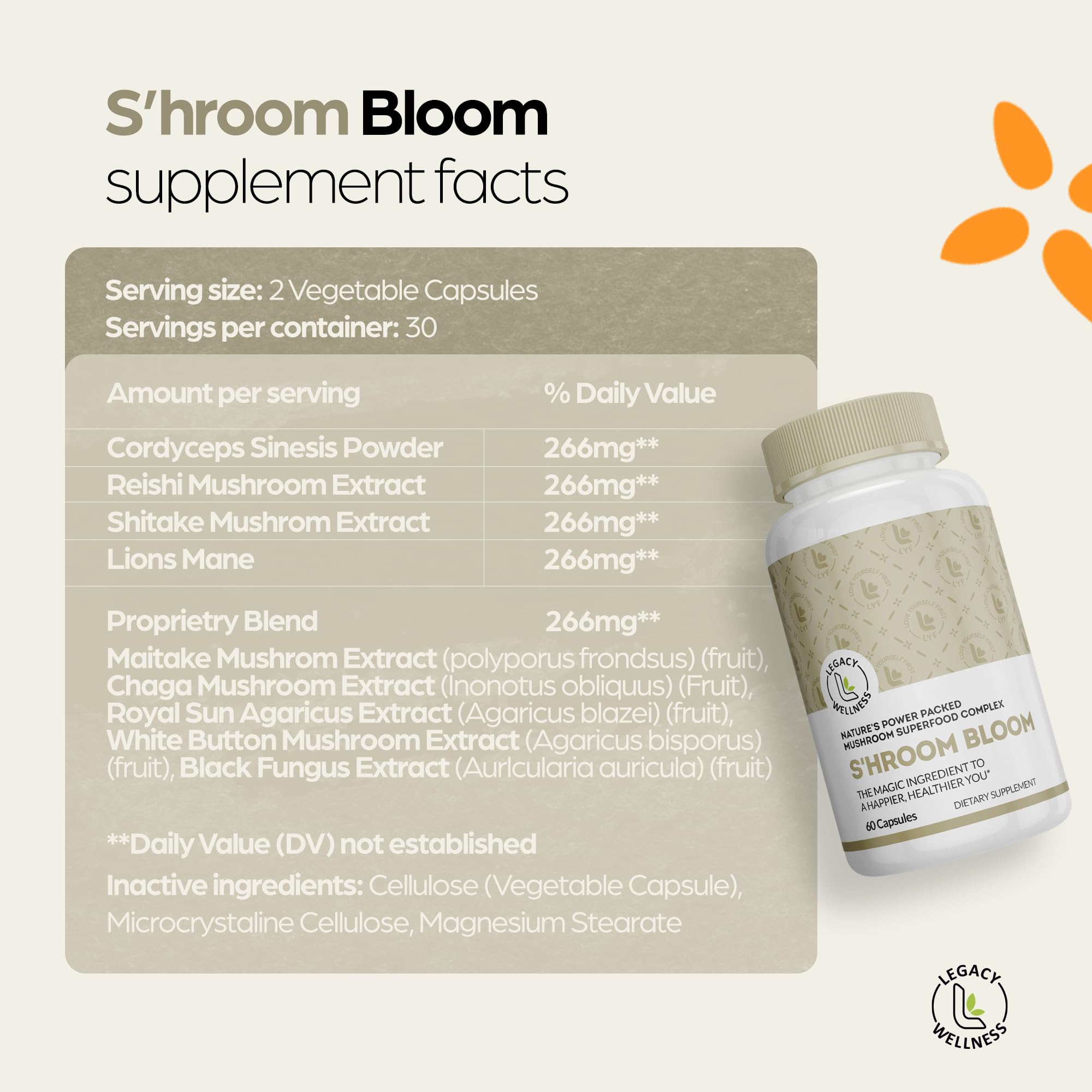 mushrooms for focus and clarity