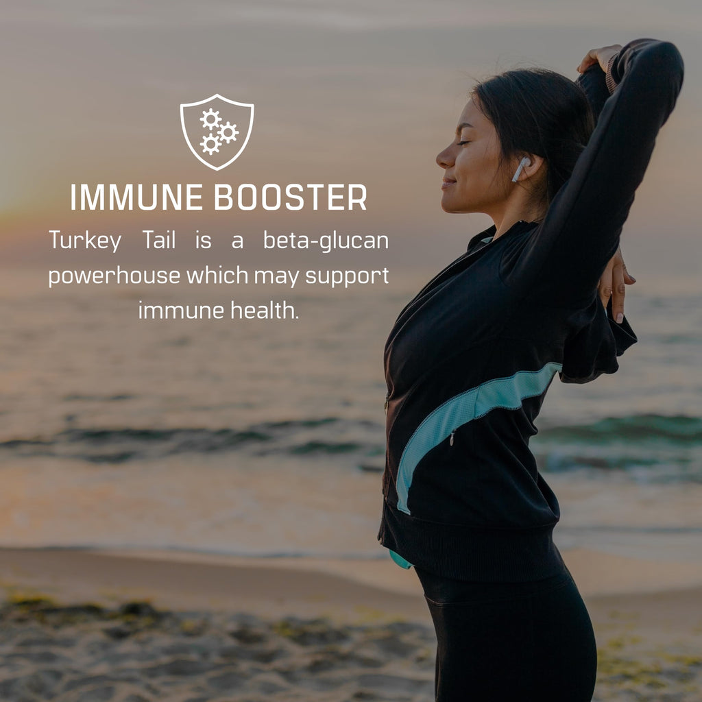 mushrooms for gut health