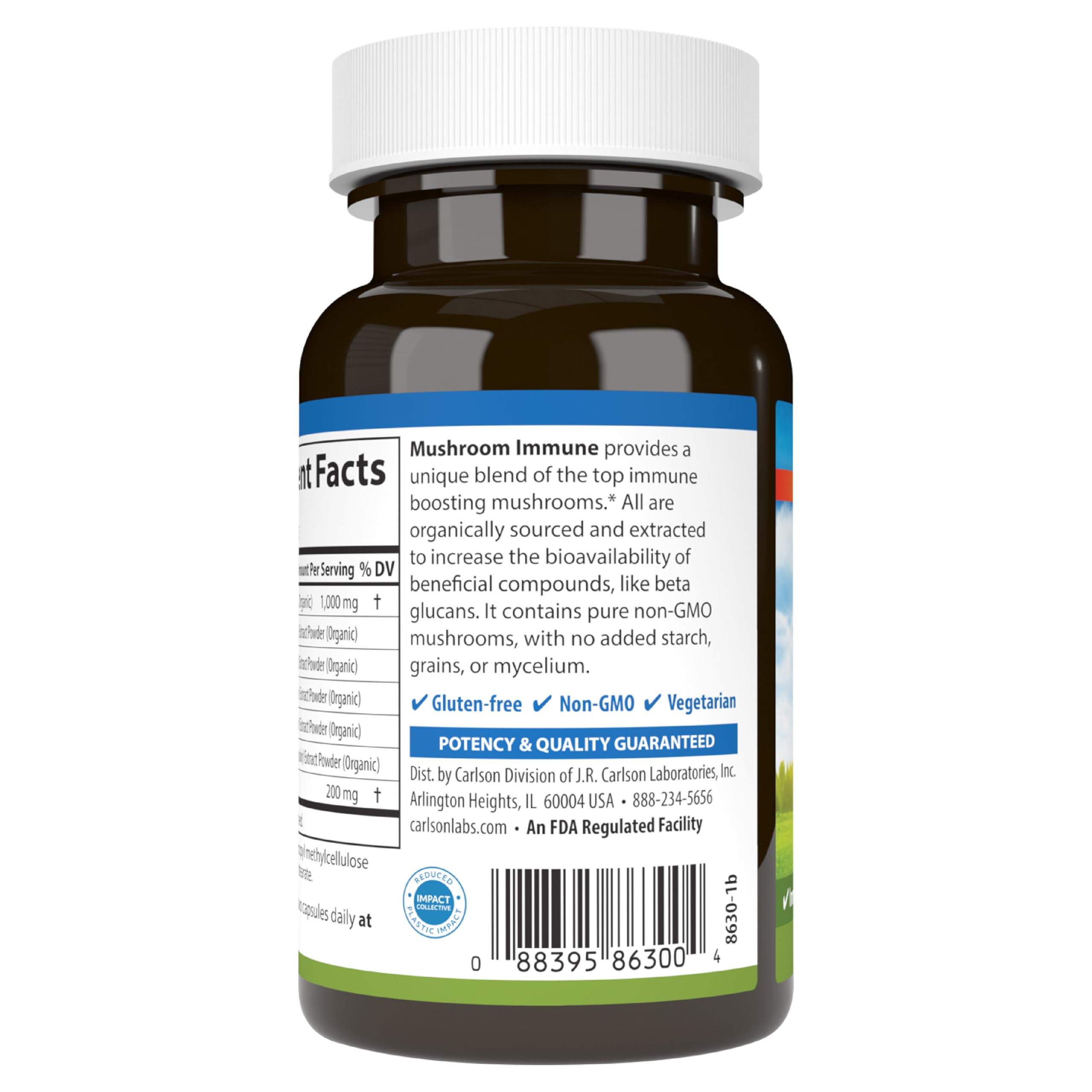 mushrooms for gut health