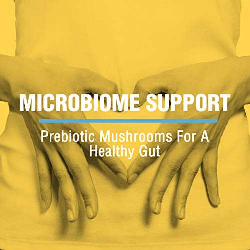 mushrooms for health and vitality