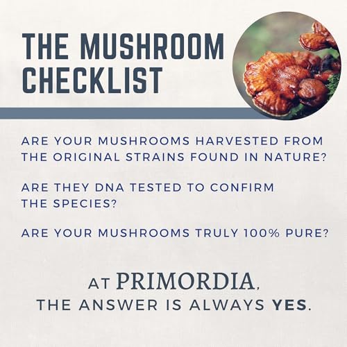 Mushrooms for holistic health and wellness