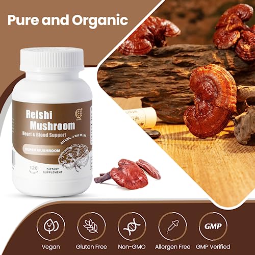 mushrooms for holistic health benefits