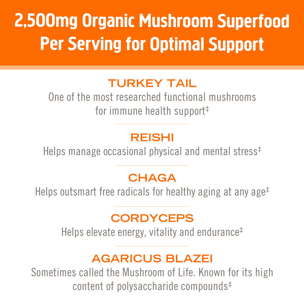 Mushrooms for holistic health benefits