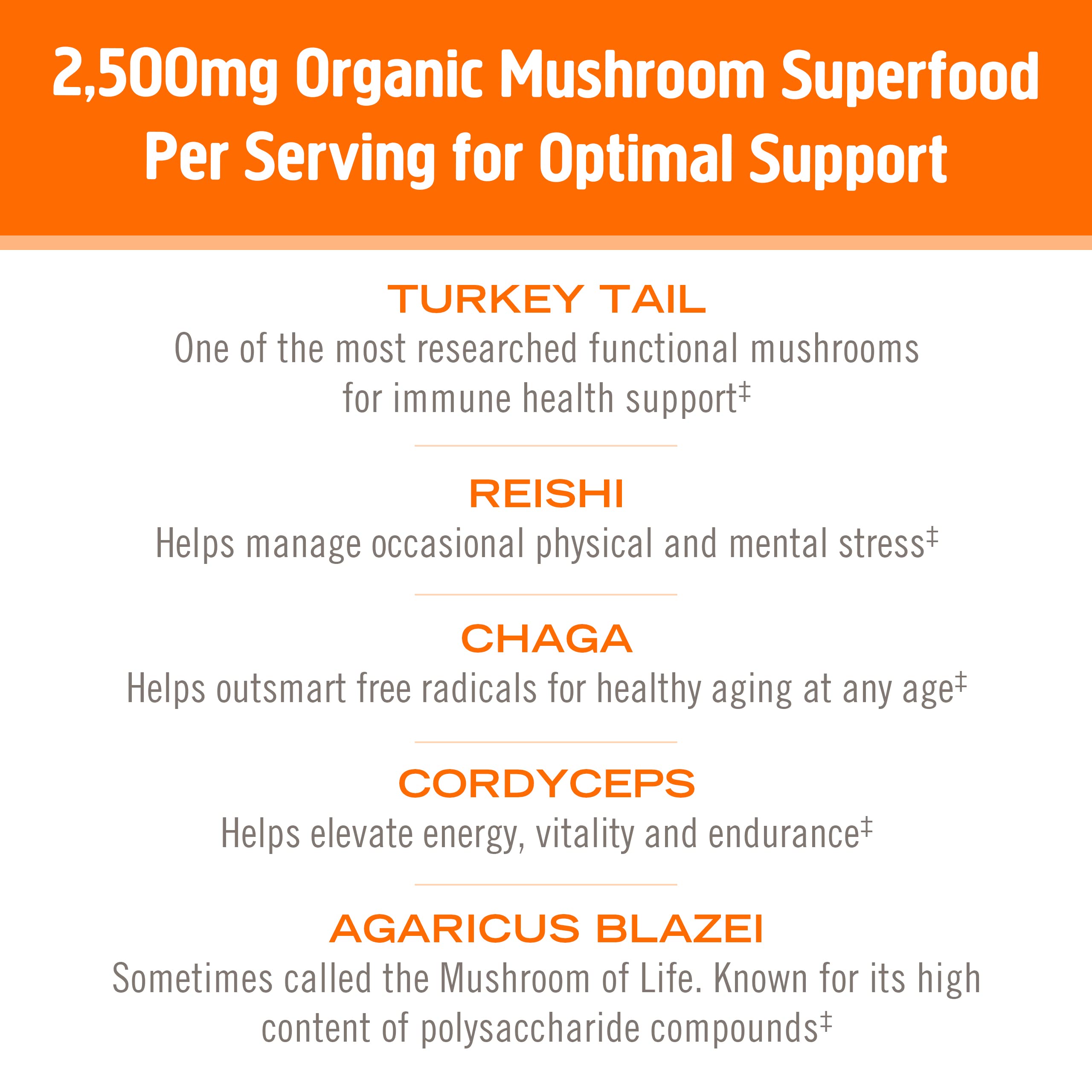Mushrooms for holistic health benefits