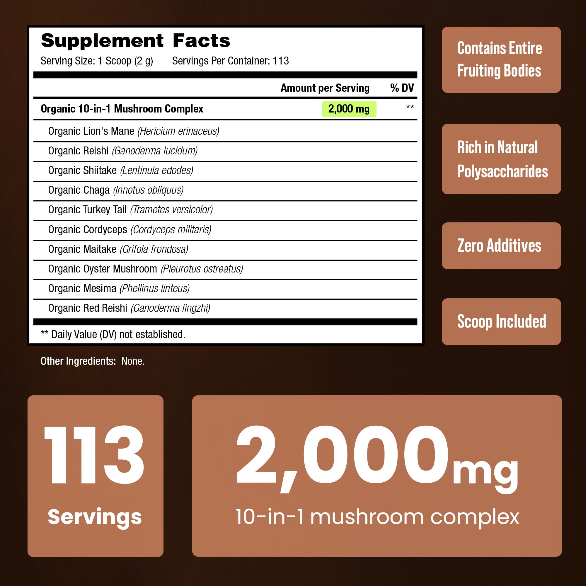 mushrooms for holistic health benefits