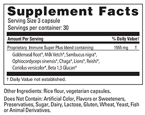 mushrooms for holistic health solutions