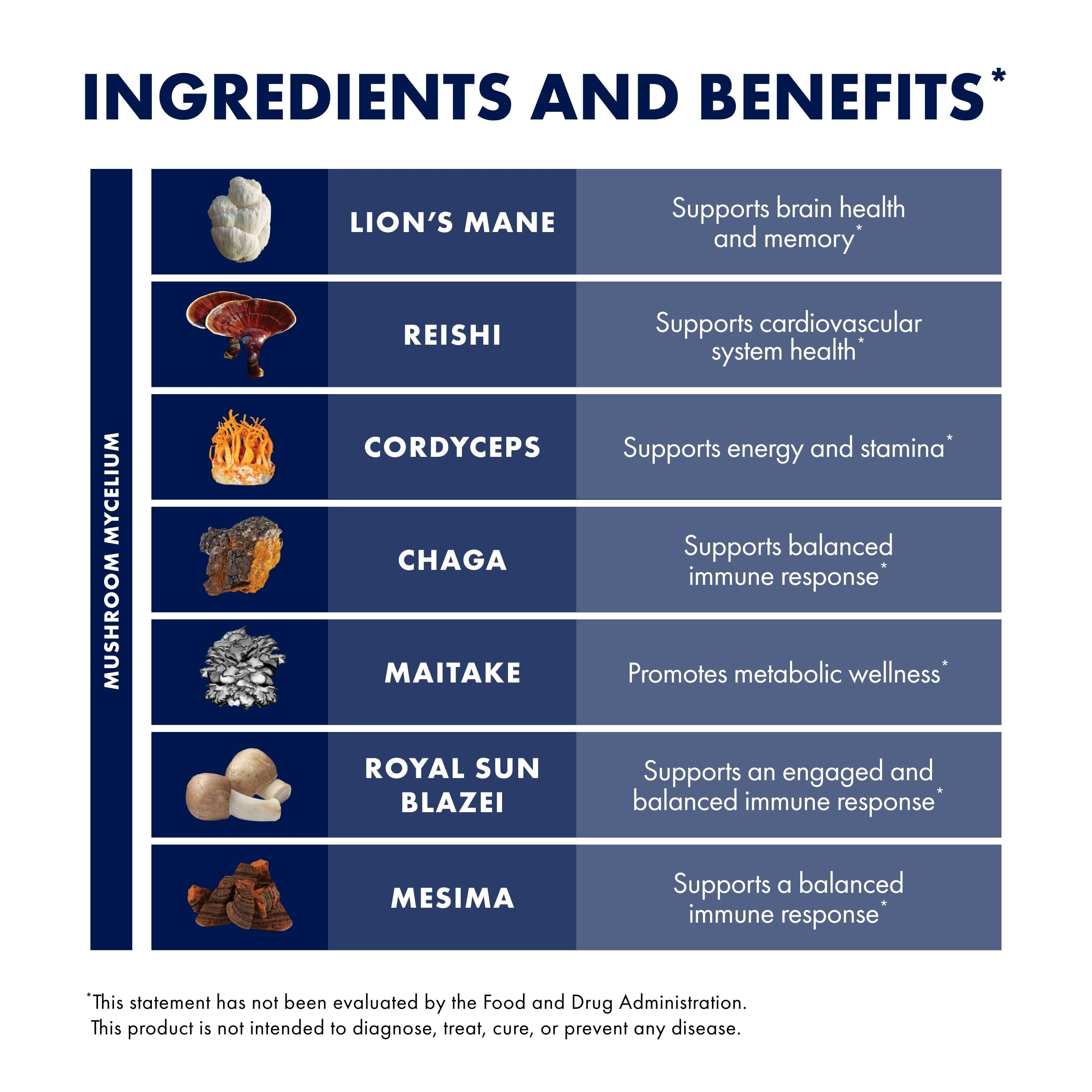 mushrooms for holistic health support