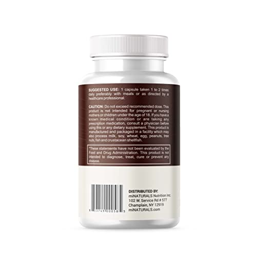 mushrooms for holistic health support