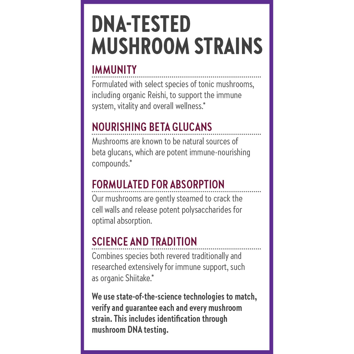 mushrooms for holistic health