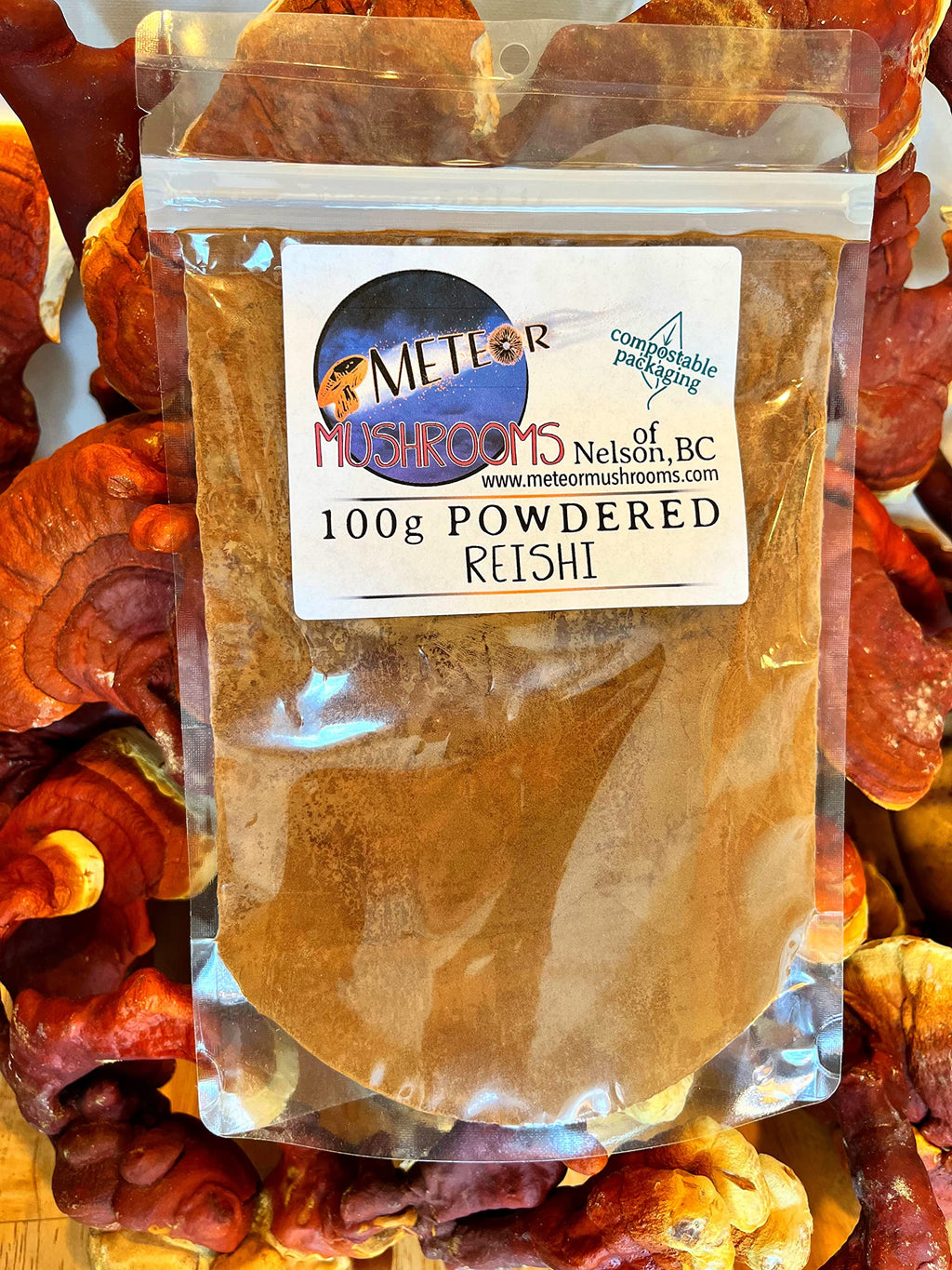 mushrooms for holistic health