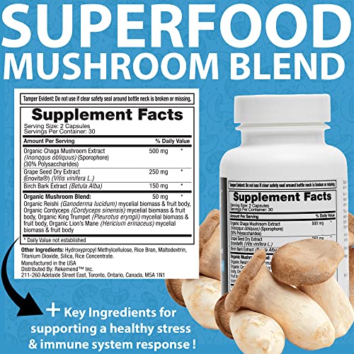 mushrooms for holistic wellness