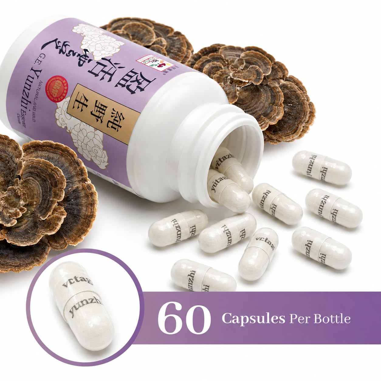 mushrooms for holistic wellness