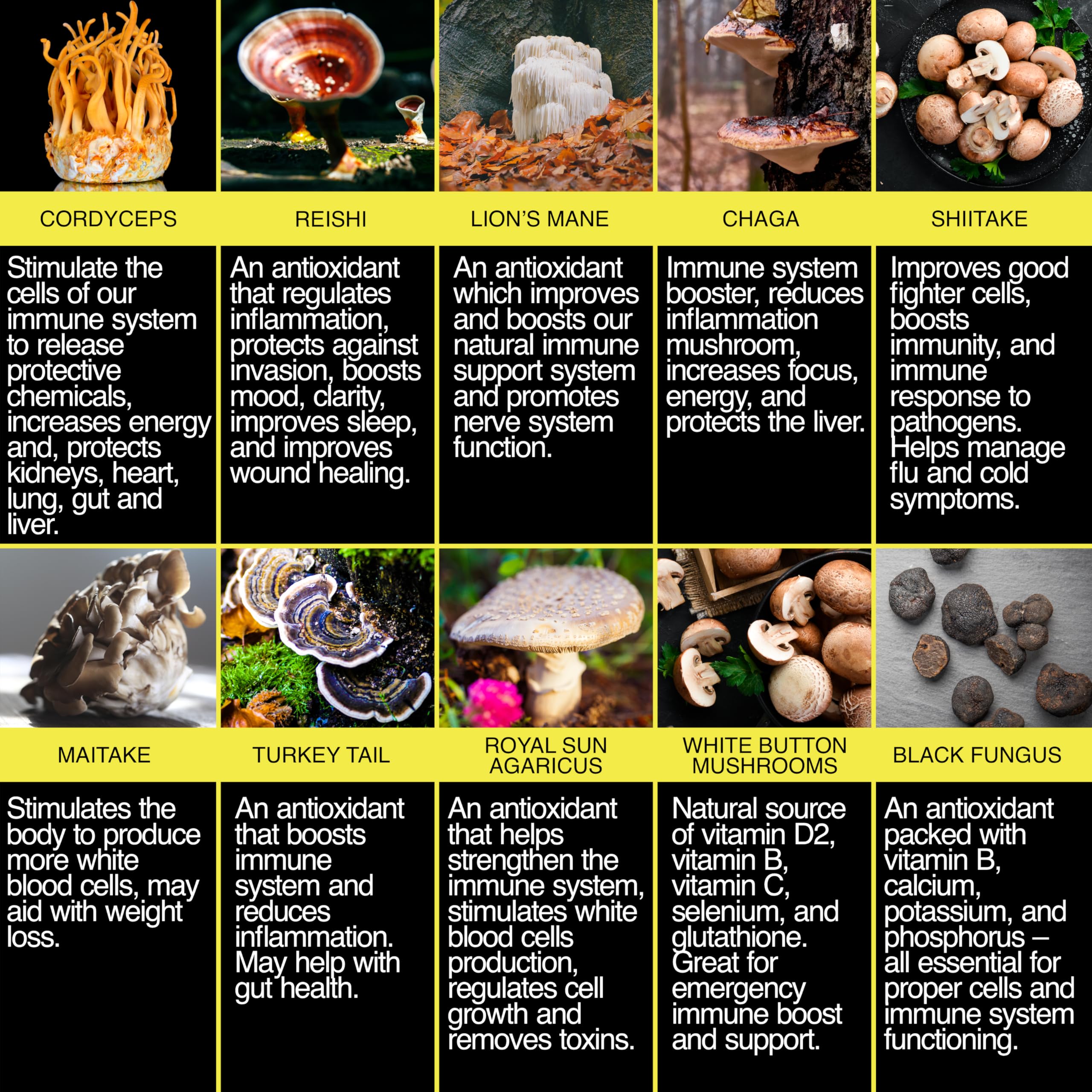 mushrooms for immune support