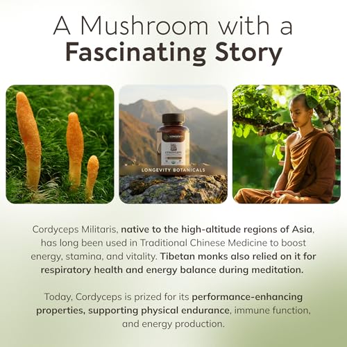 mushrooms for immune support