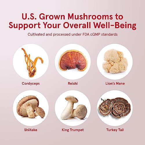 mushrooms for immune system health