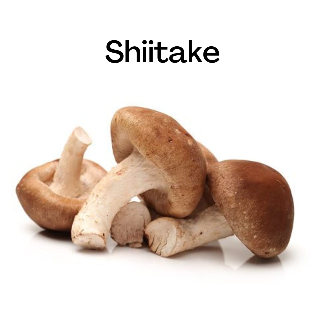 mushrooms for immune system support