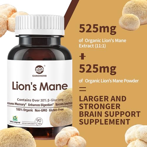 mushrooms for improved brain function