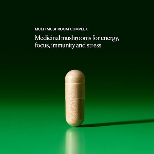 mushrooms for improved brain function