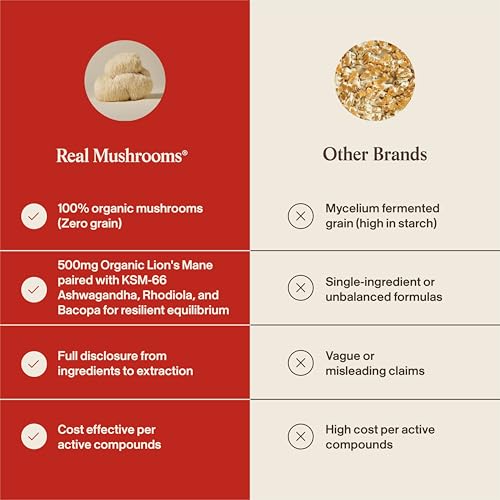 Mushrooms for improved concentration