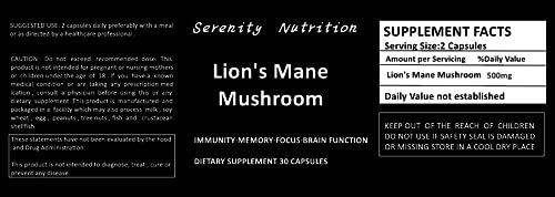mushrooms for improved concentration