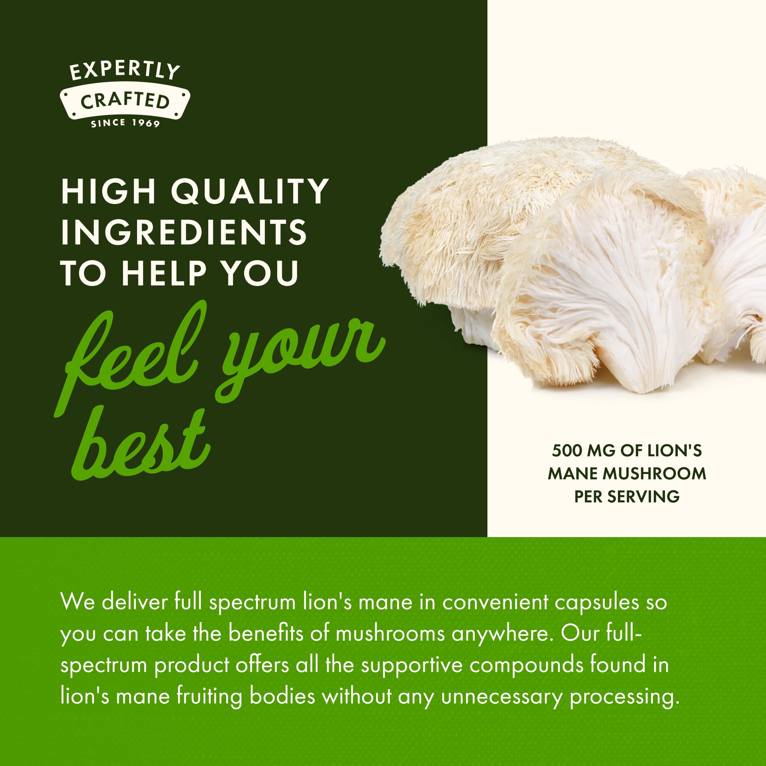 mushrooms for improved concentration