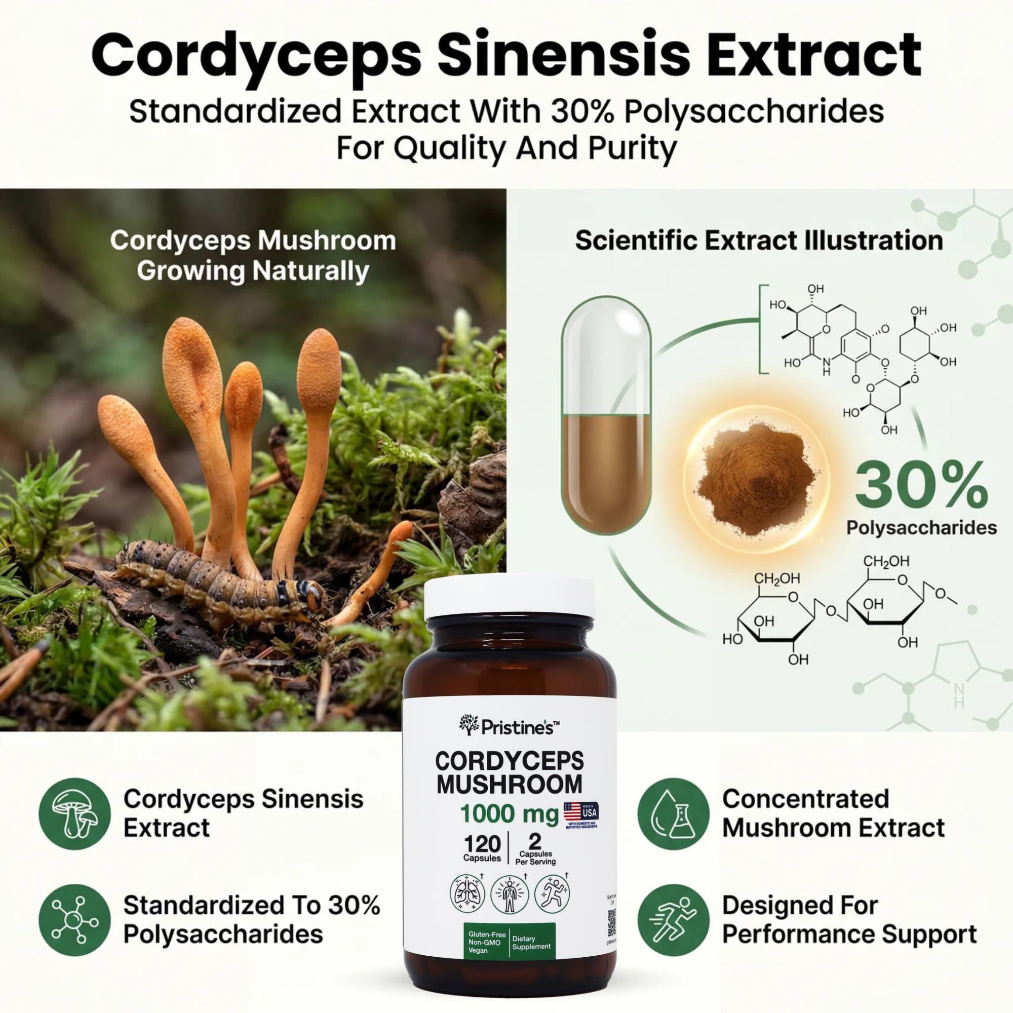 Mushrooms for improved energy levels