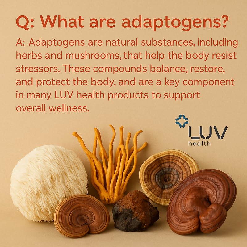 mushrooms for improved focus and clarity