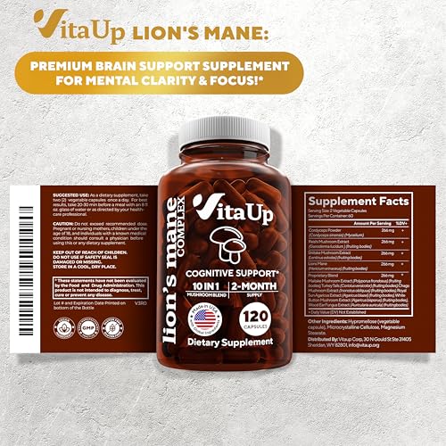 Mushrooms for improved focus and memory