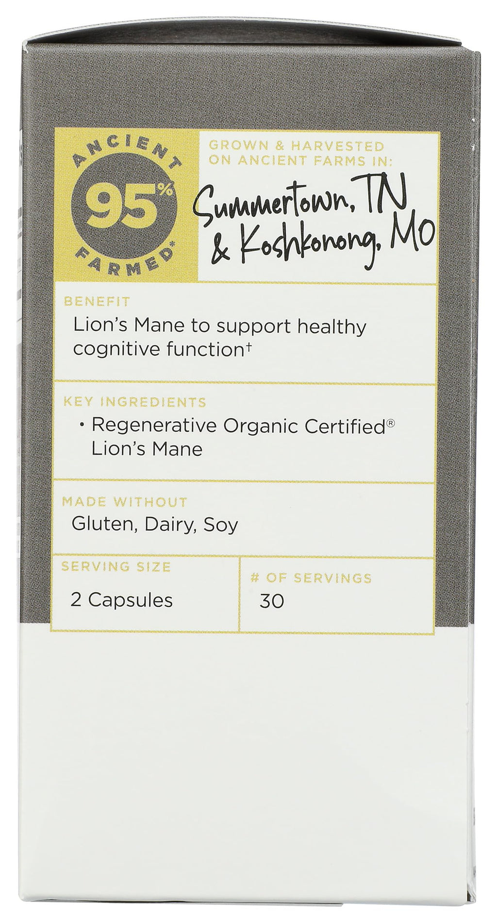 mushrooms for improved memory