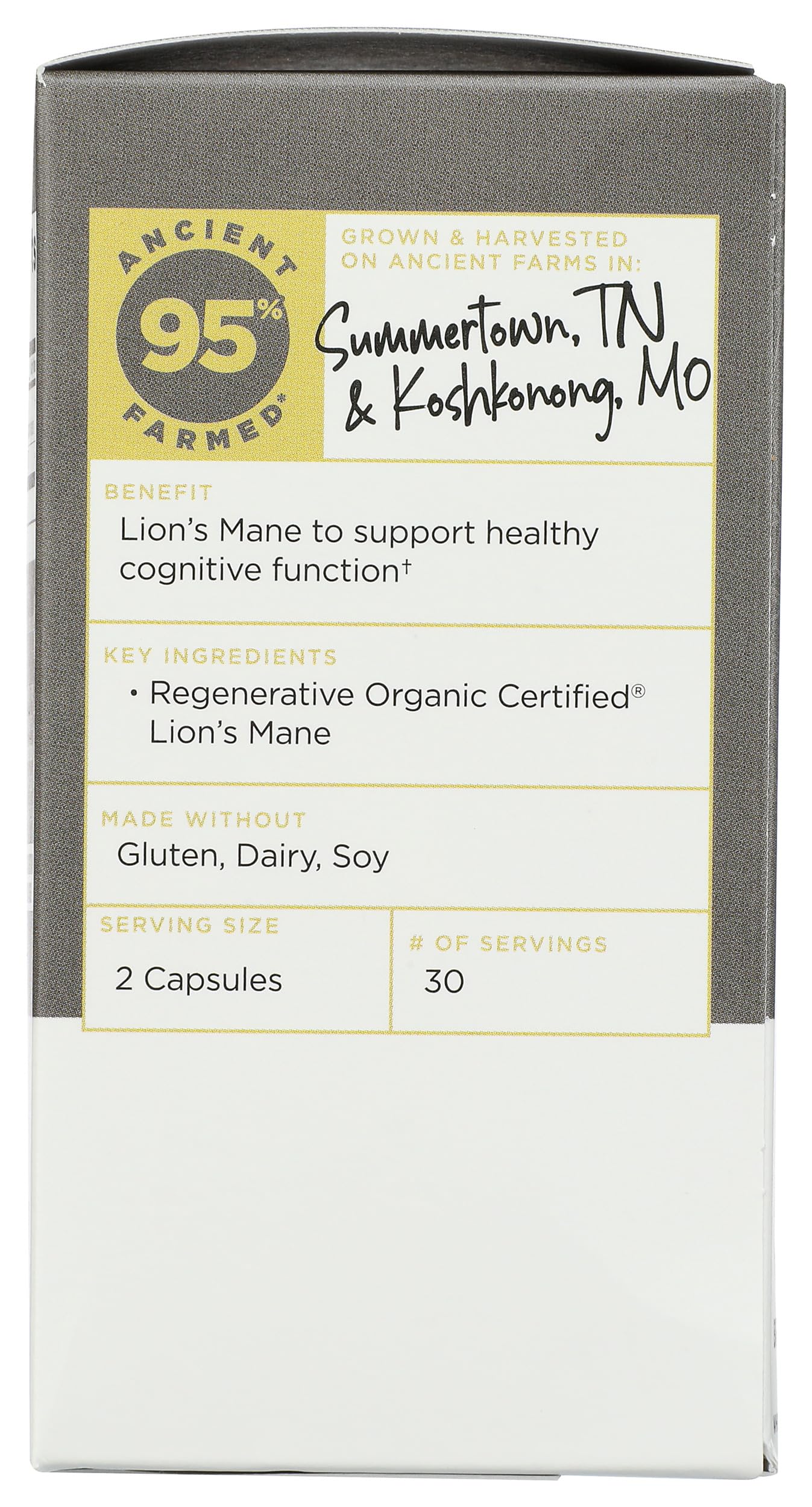 mushrooms for improved memory