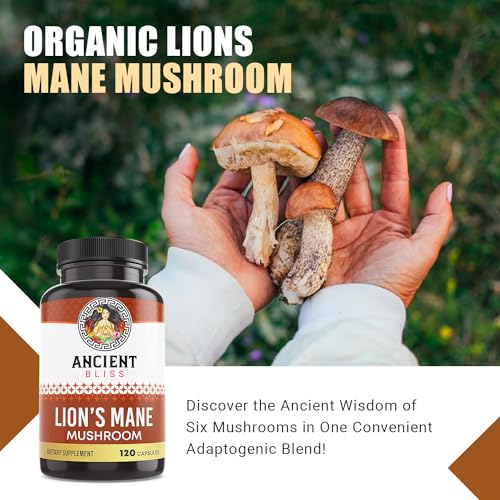 Mushrooms for improved mental performance