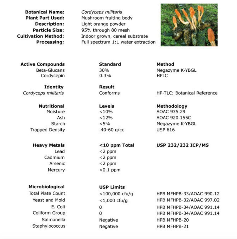 mushrooms for improved physical performance