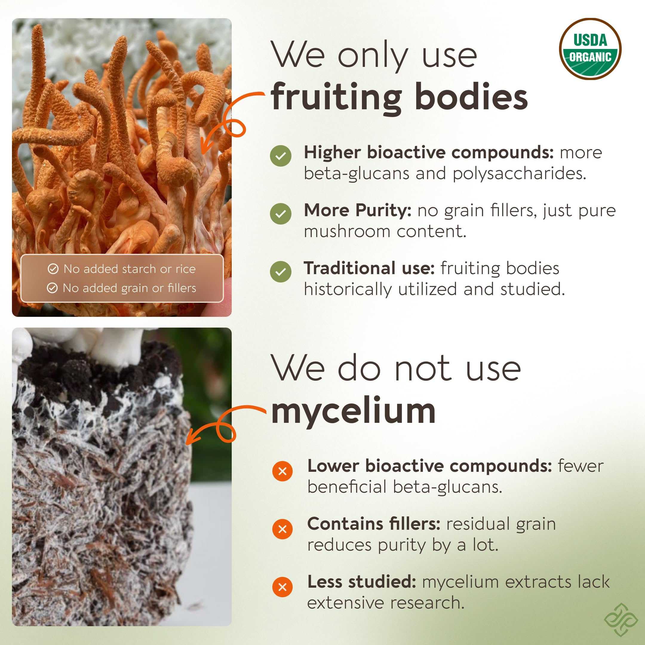 mushrooms for improved stamina