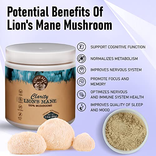 mushrooms for memory and focus
