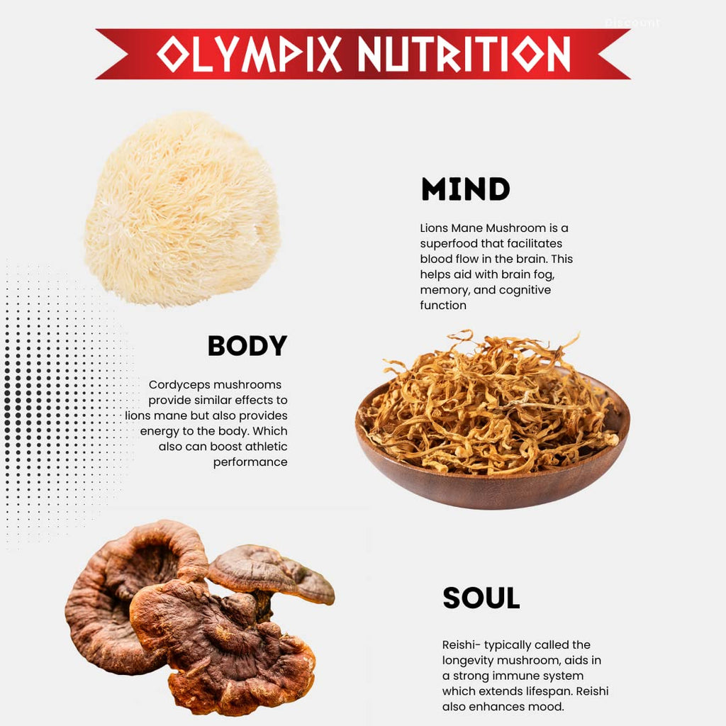 mushrooms for memory and focus