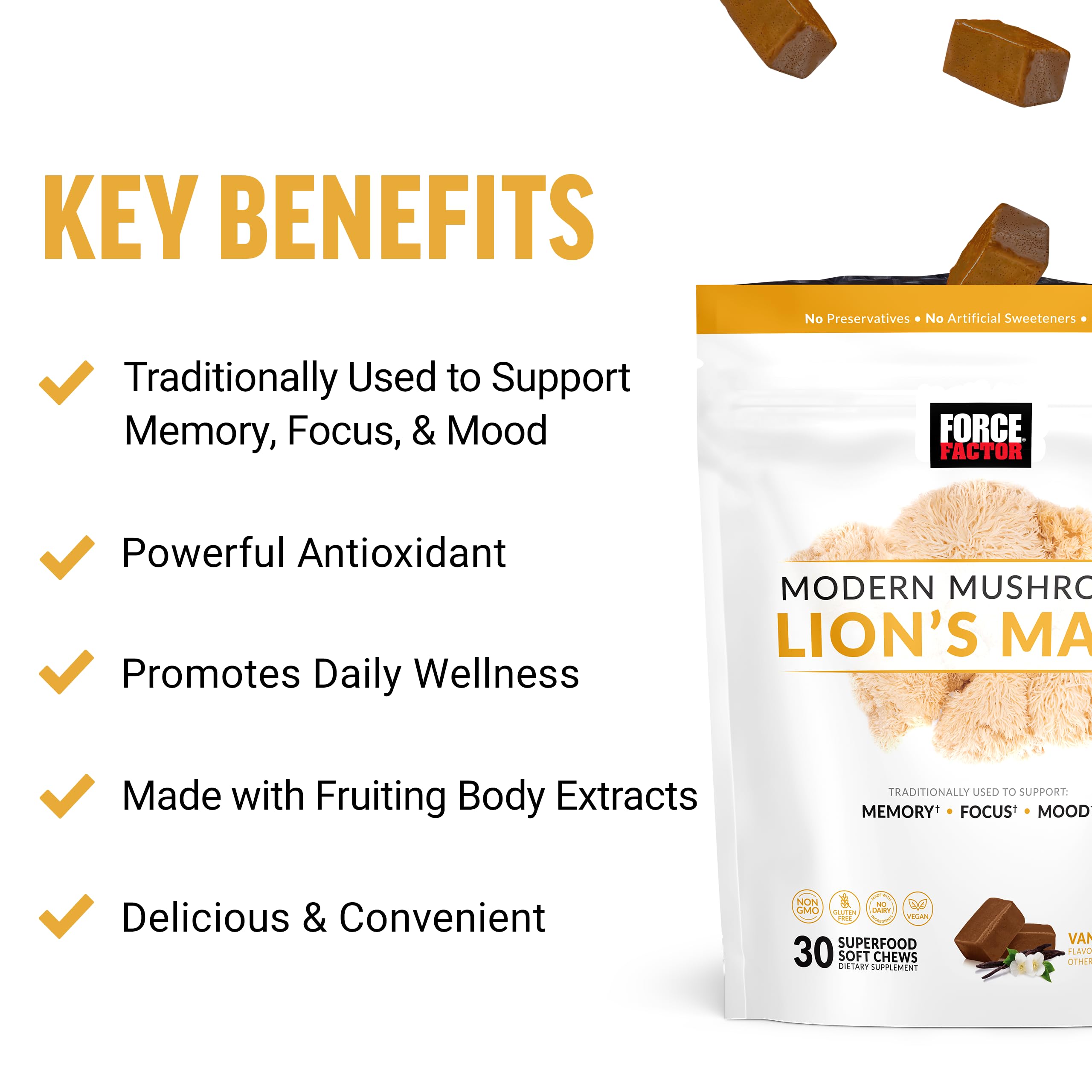 mushrooms for memory and focus