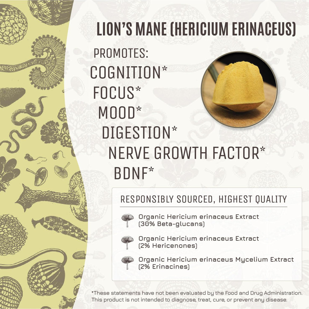 mushrooms for memory enhancement