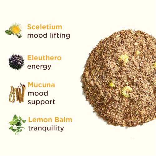 mushrooms for mental clarity and focus