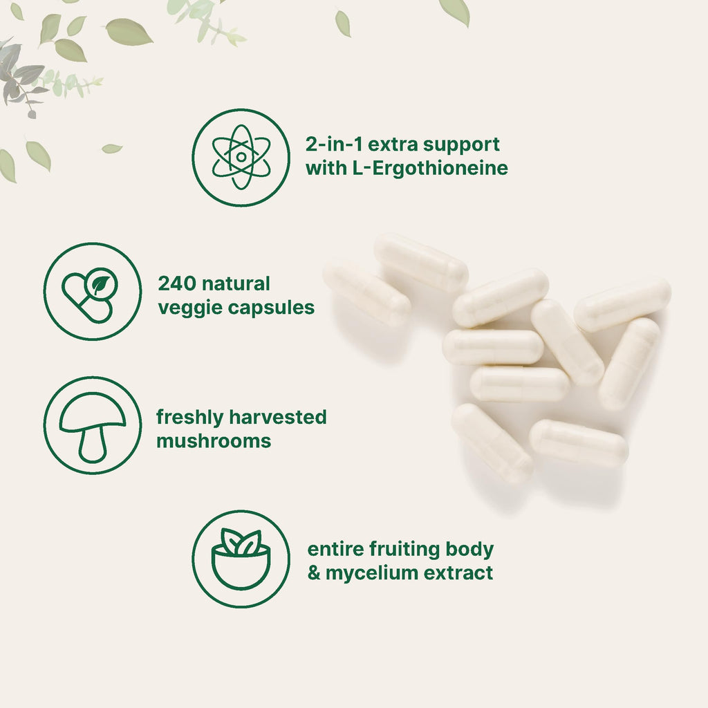 mushrooms for mental clarity benefits