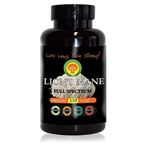 mushrooms for mental clarity support